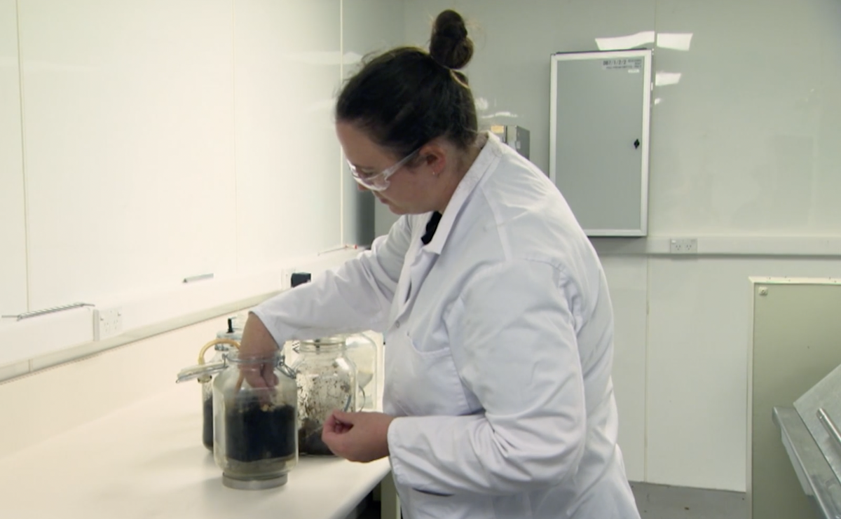 Testing biodegradation — Science Learning Hub