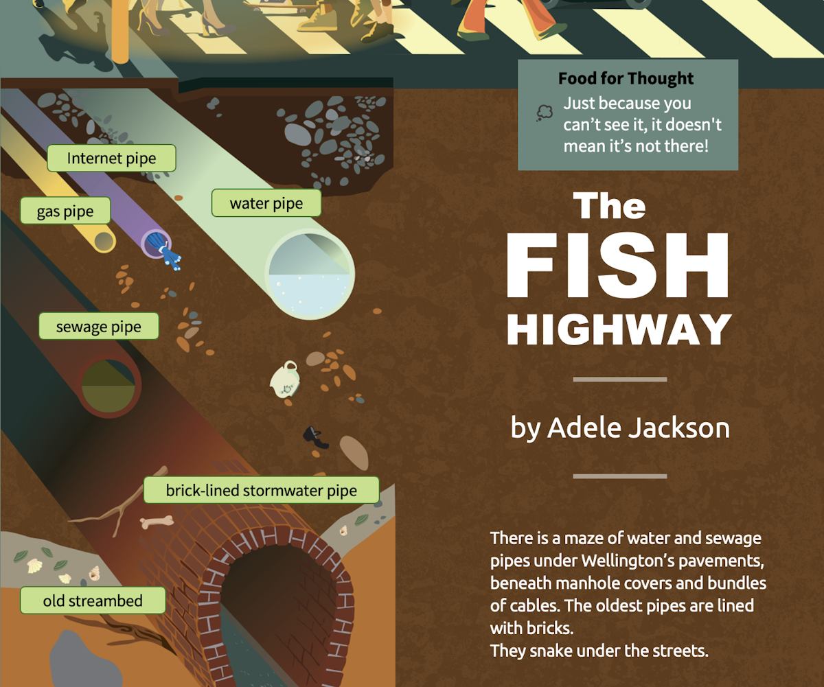 The fish highway — Science Learning Hub