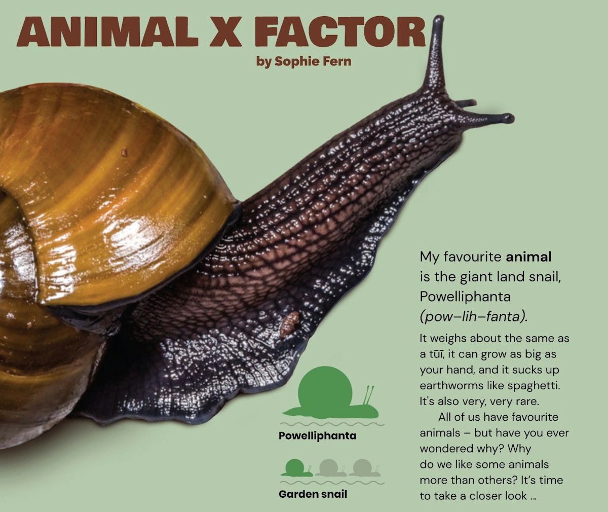 Animal X factor — Science Learning Hub