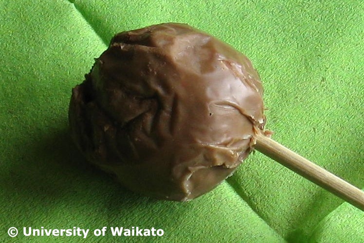 Edible Earth Science Edible Earth Science | TPT