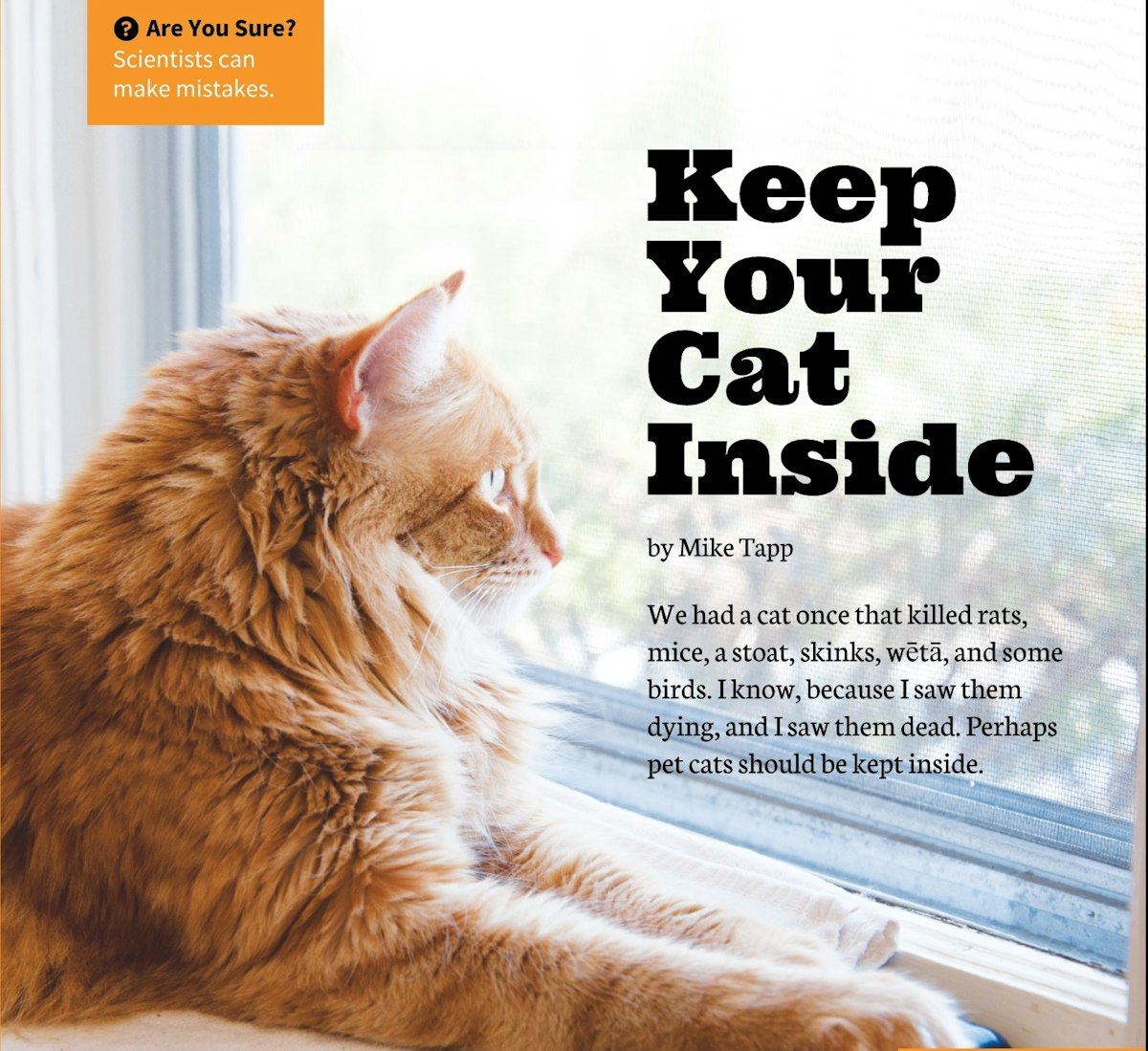 Keep your cat inside — Science Learning Hub