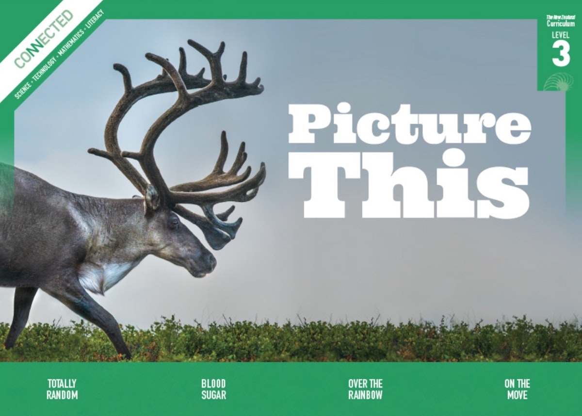 2016 Connected level 3: Picture this