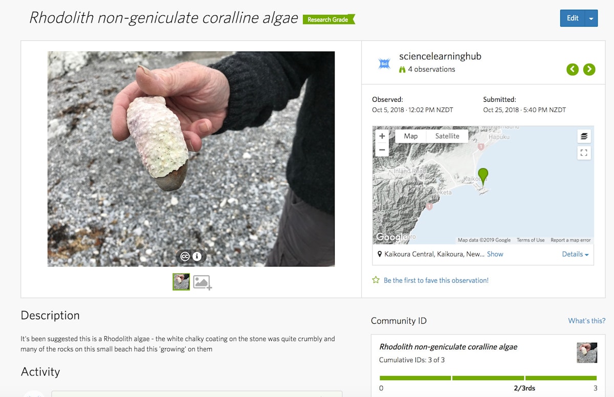 iNaturalist — Science Learning Hub