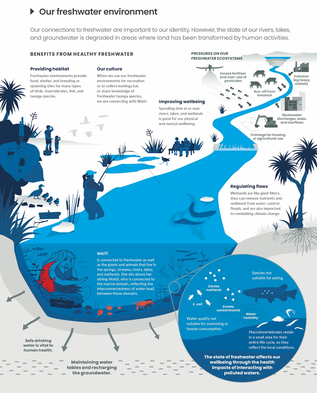 Waitī – freshwater environments — Science Learning Hub