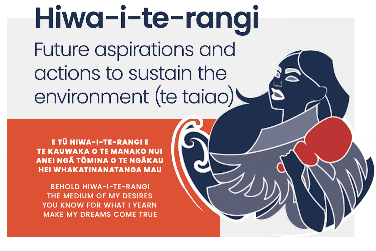 Hiwa-i-te-rangi – future aspirations and actions