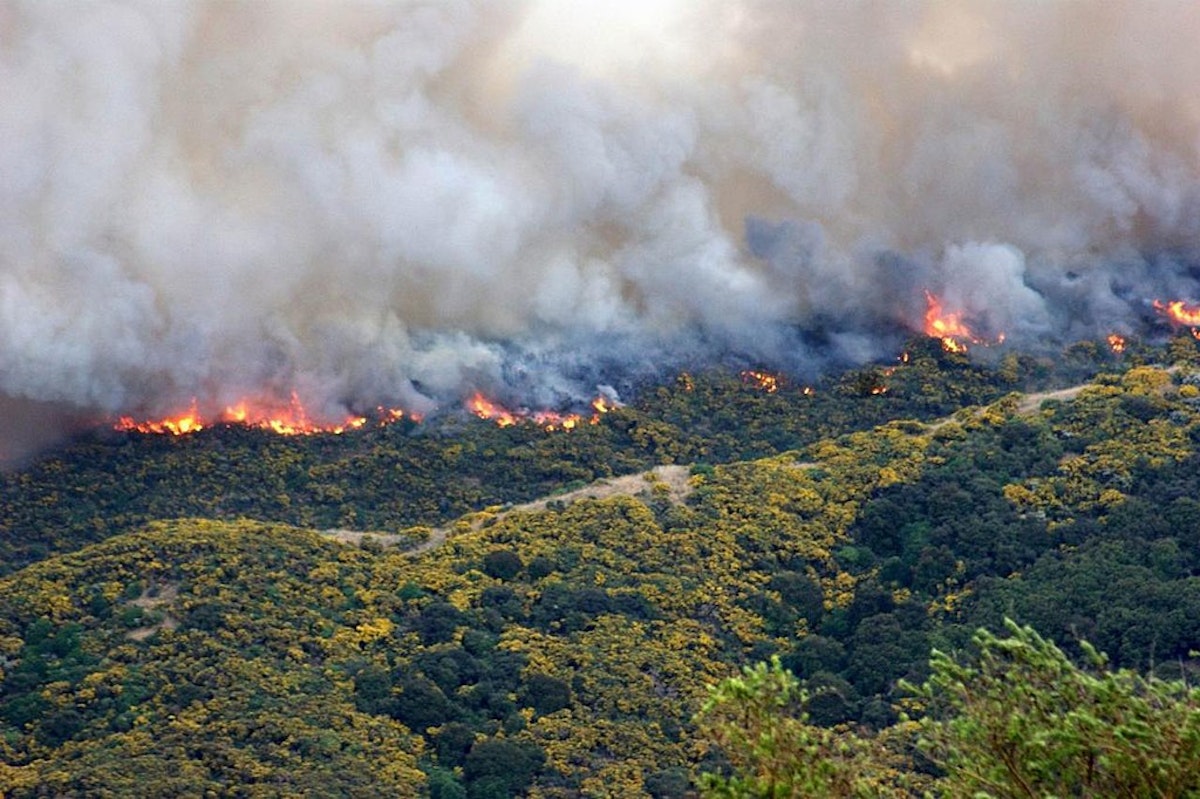 Methane – a greenhouse gas — Science Learning Hub