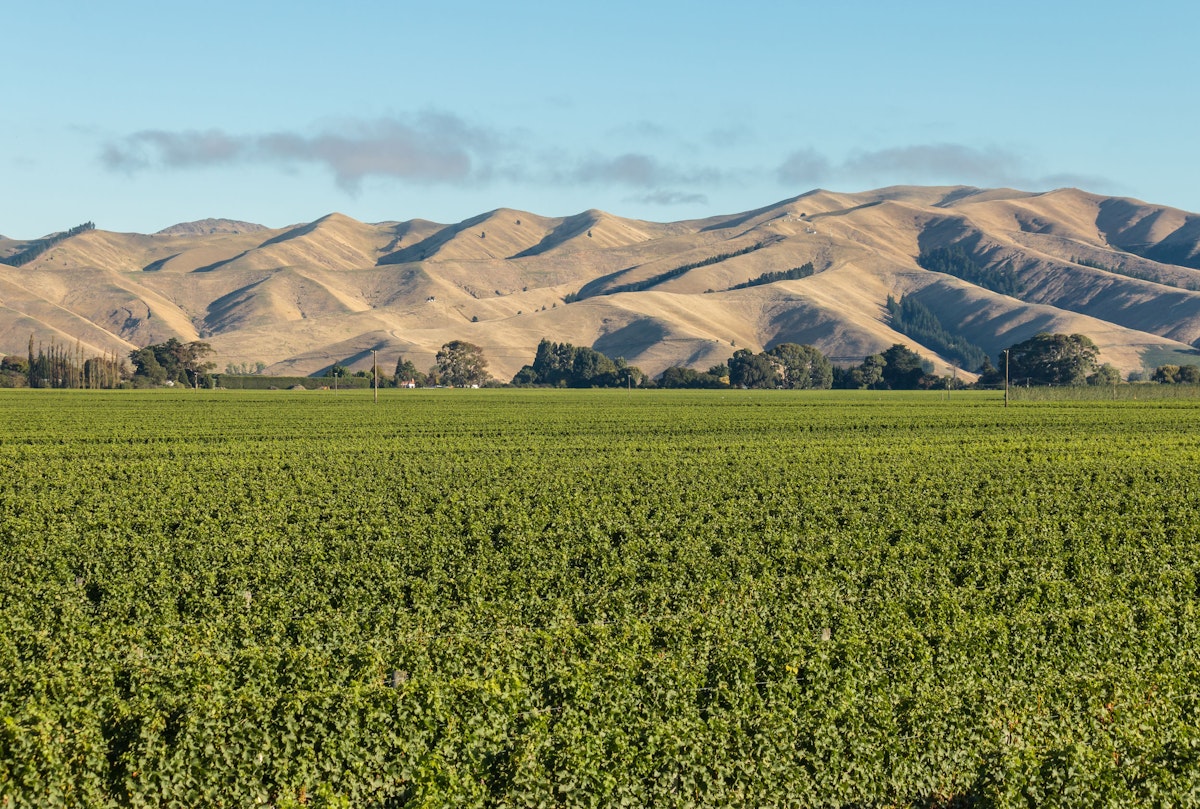 Te Tau Ihu – Upper South Island — Science Learning Hub