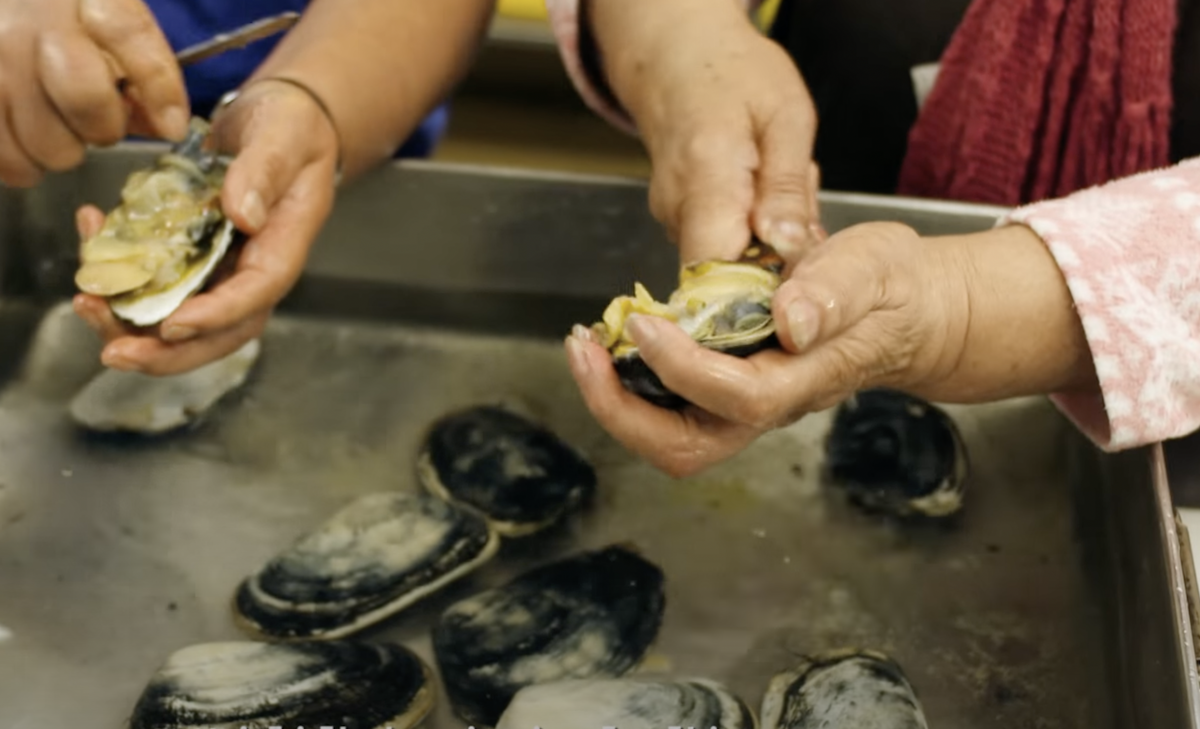 Toheroa — Science Learning Hub