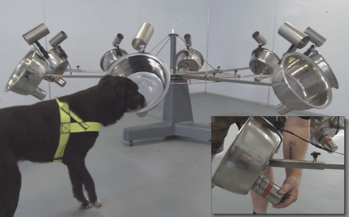 Cleanroom carousel — Science Learning Hub