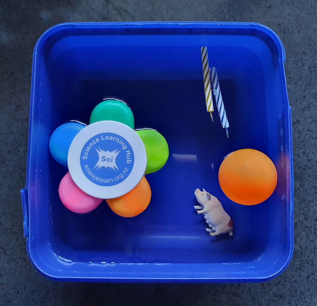 Investigating floating and sinking — Science Learning Hub