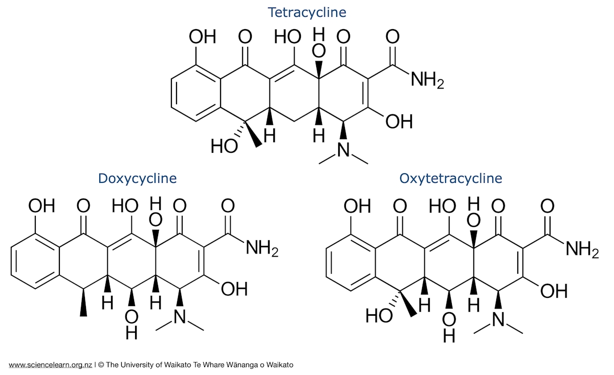 Chemical Structure Of Tetracyclines — Science Learning Hub