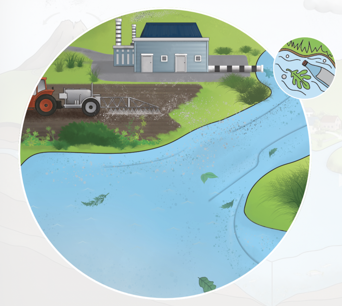 Catchment inputs — Science Learning Hub