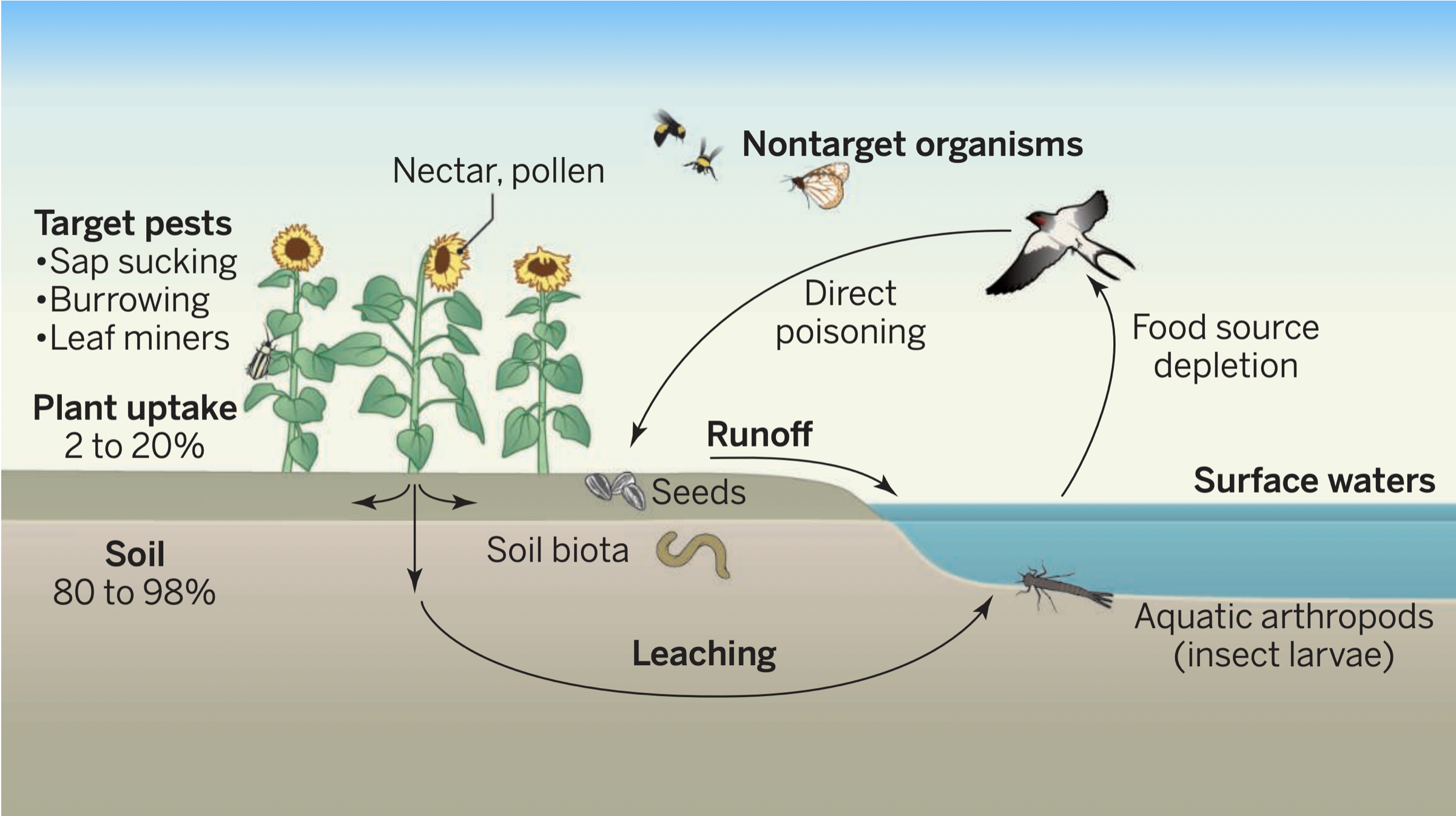 Neonicotinoid Pesticides Chlorinated Byproducts Of Neonicotinoids And