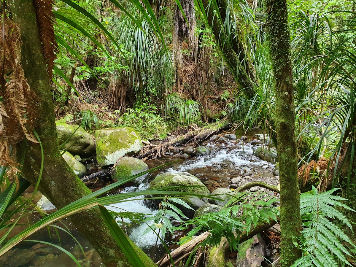 Environmental monitoring – ao Māori perspectives