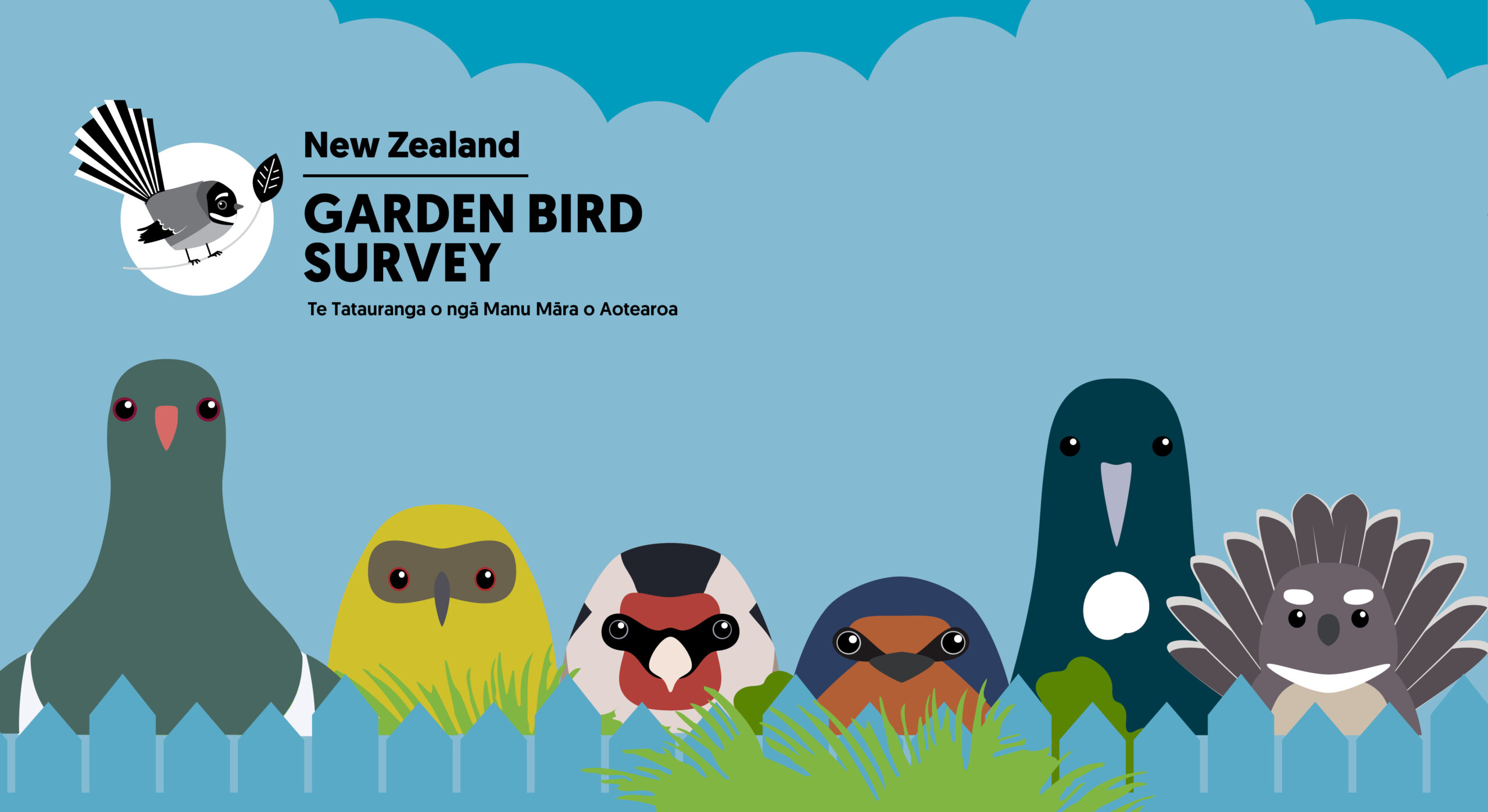 Cartoon Birds