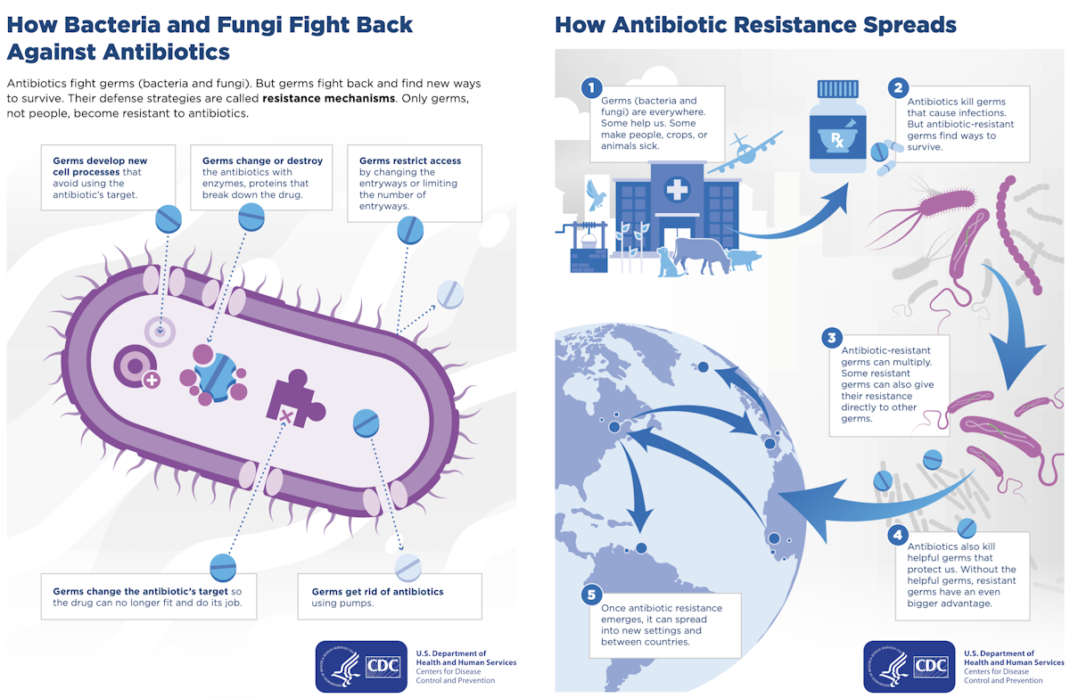How antimicrobial resistance happens — Science Learning Hub