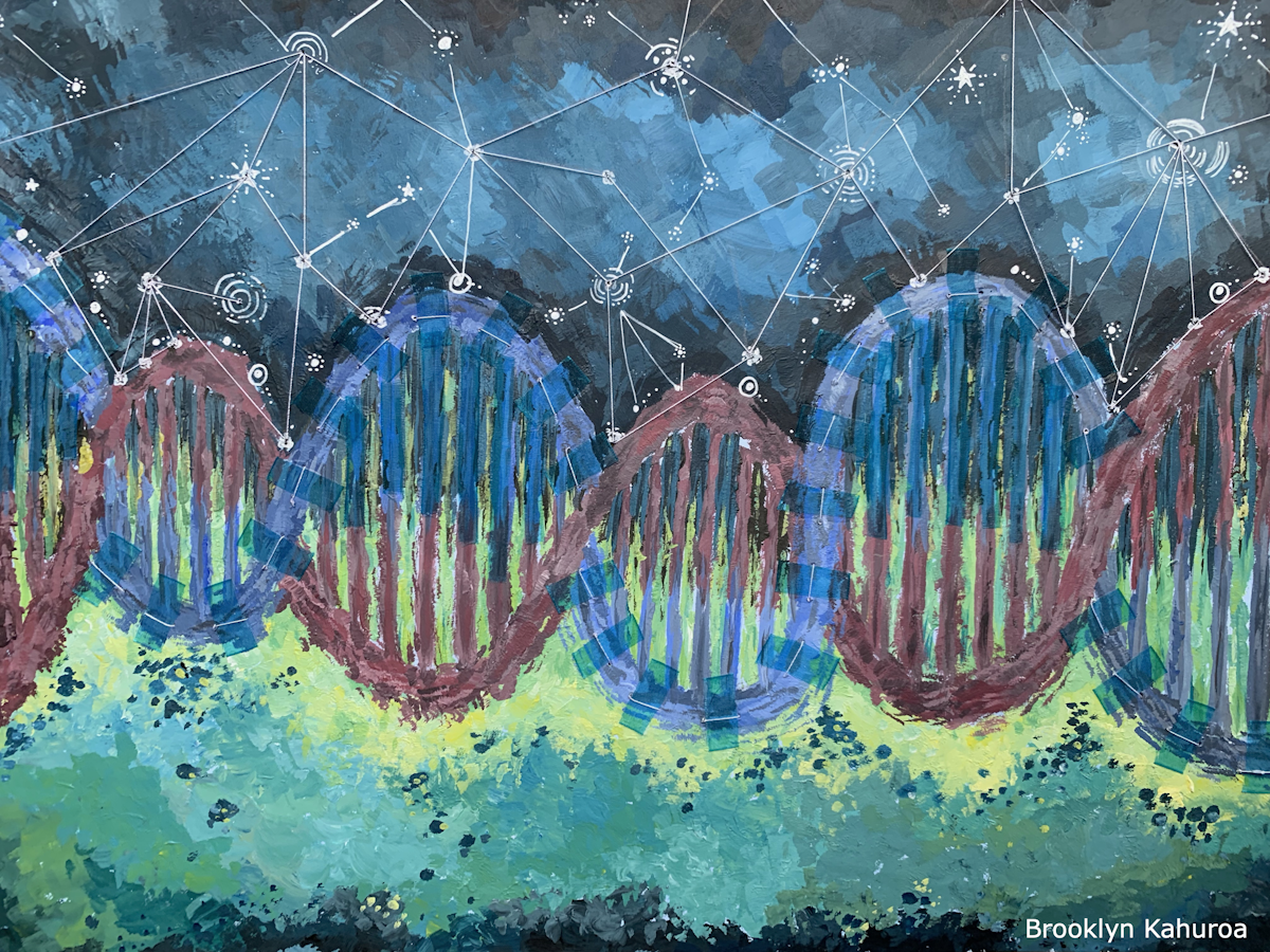 What is a knowledge system? — Science Learning Hub