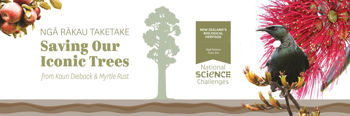 Ngā Rākau Taketake ­– Saving our Iconic Trees