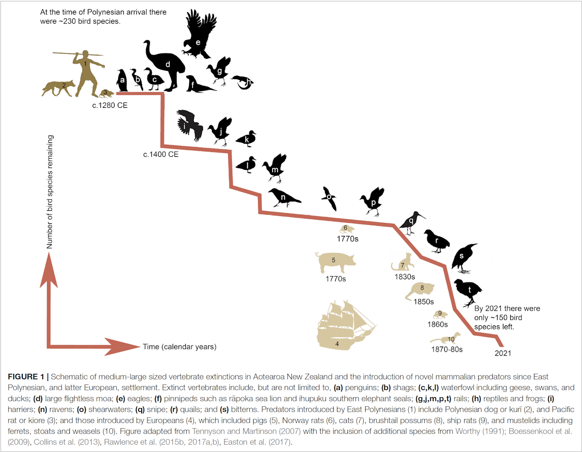 Human impacts on biodiversity — Science Learning Hub