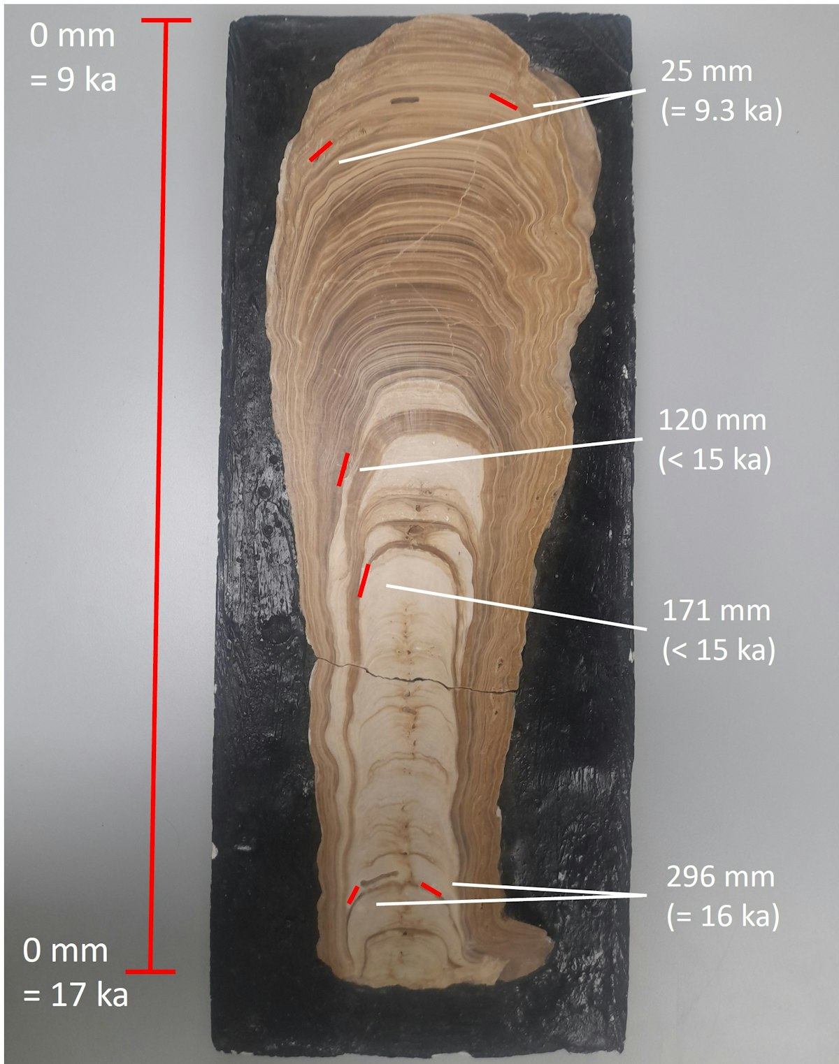 Growth layers in a stalagmite — Science Learning Hub