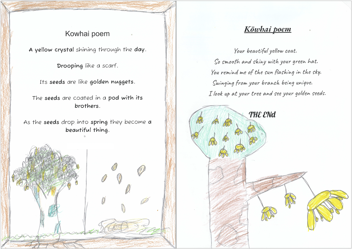 Sharing scientific understanding through poetry