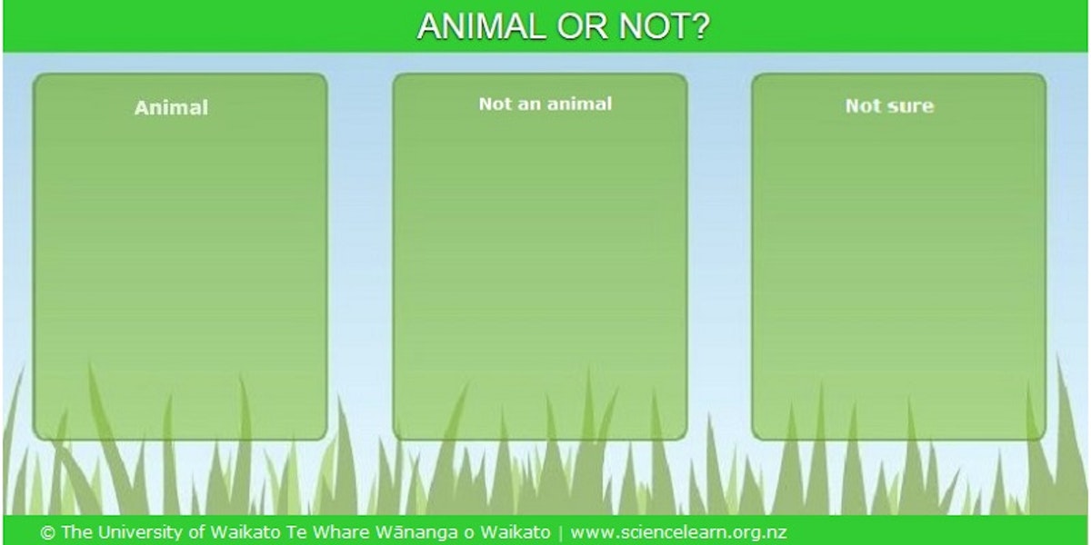 Animal or not? — Science Learning Hub