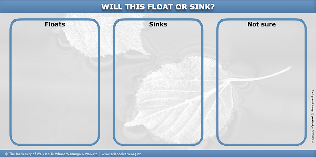 Will this float or sink? – graphic organiser