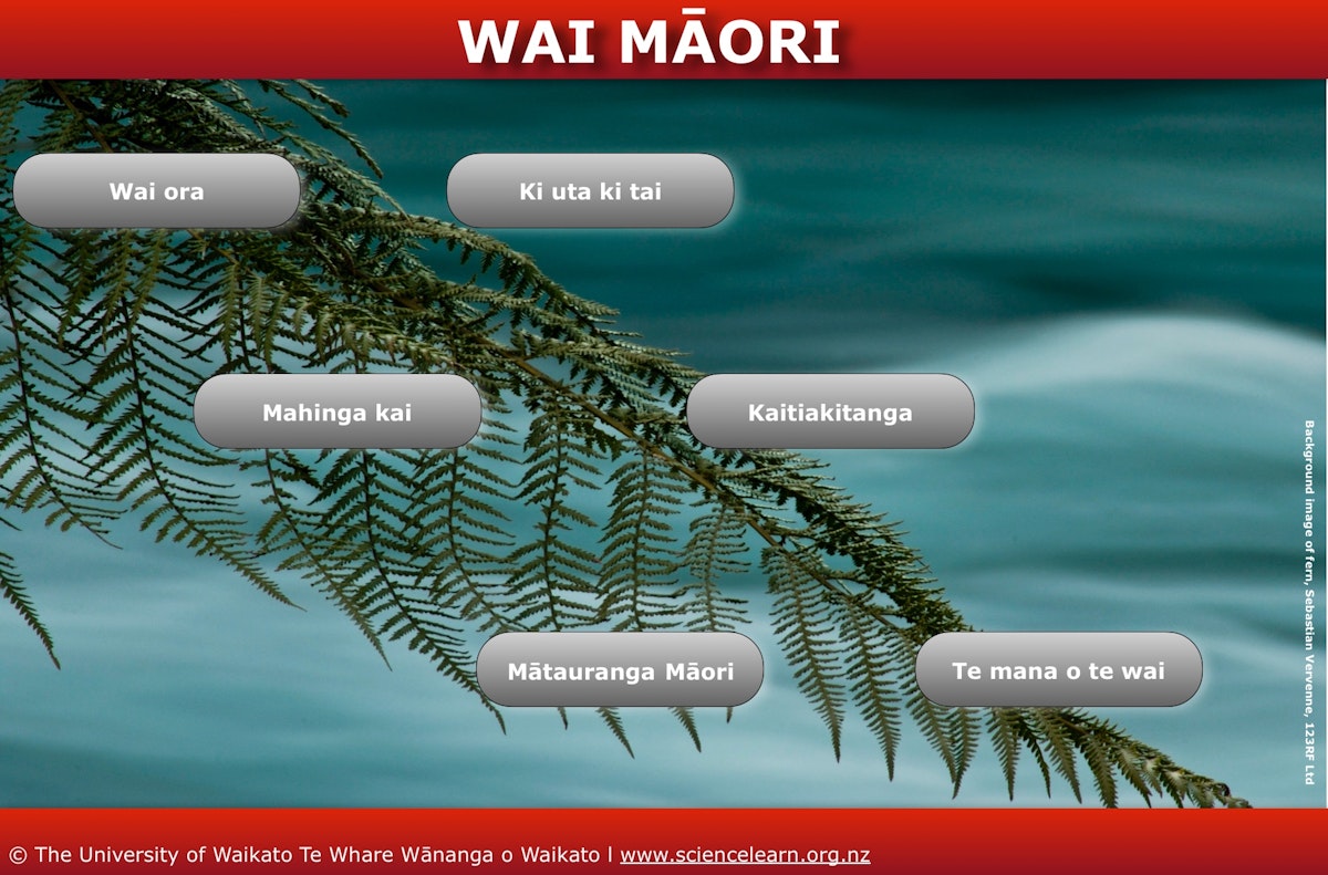 Wai Māori — Science Learning Hub