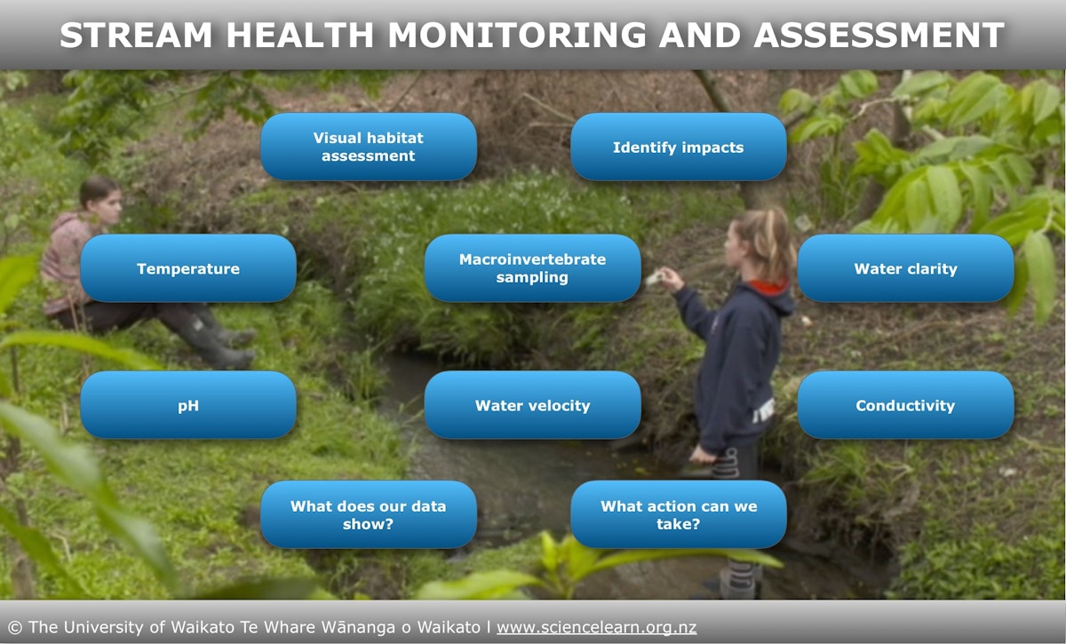 Stream health monitoring and assessment