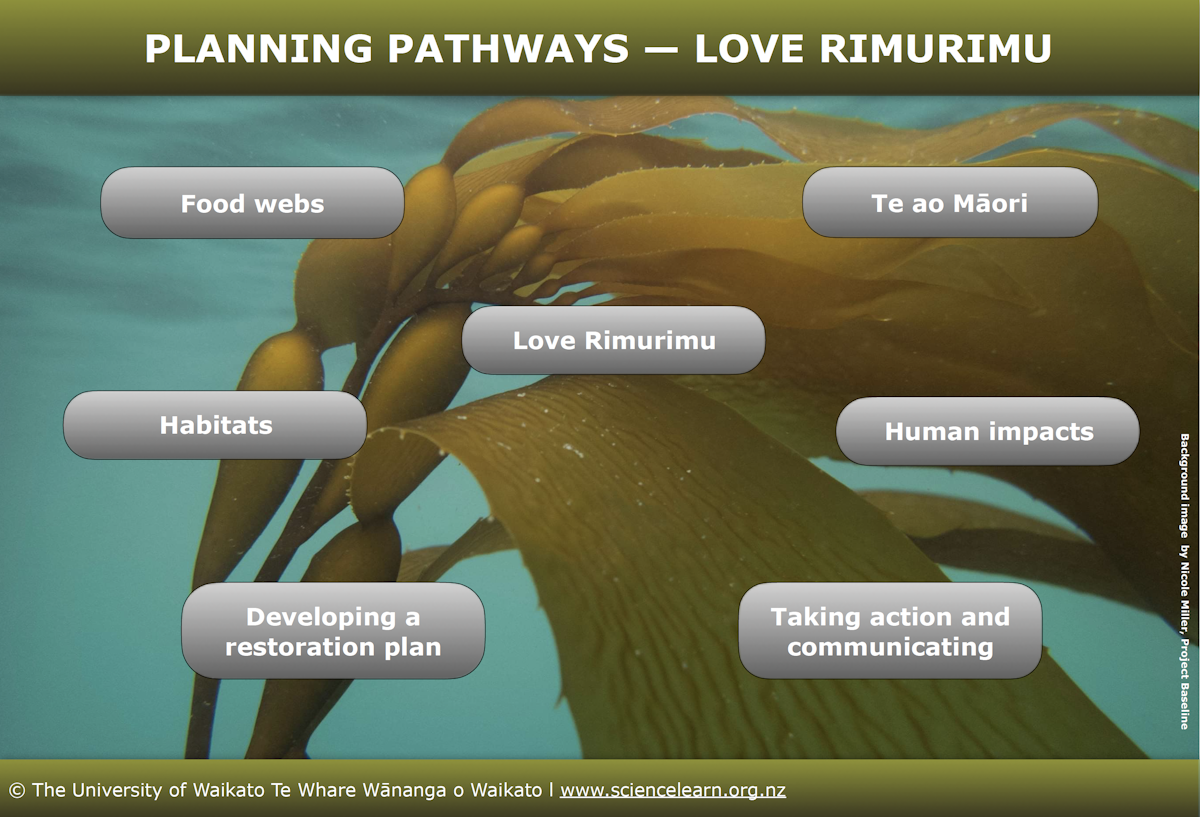Love Rimurimu – planning pathways — Science Learning Hub