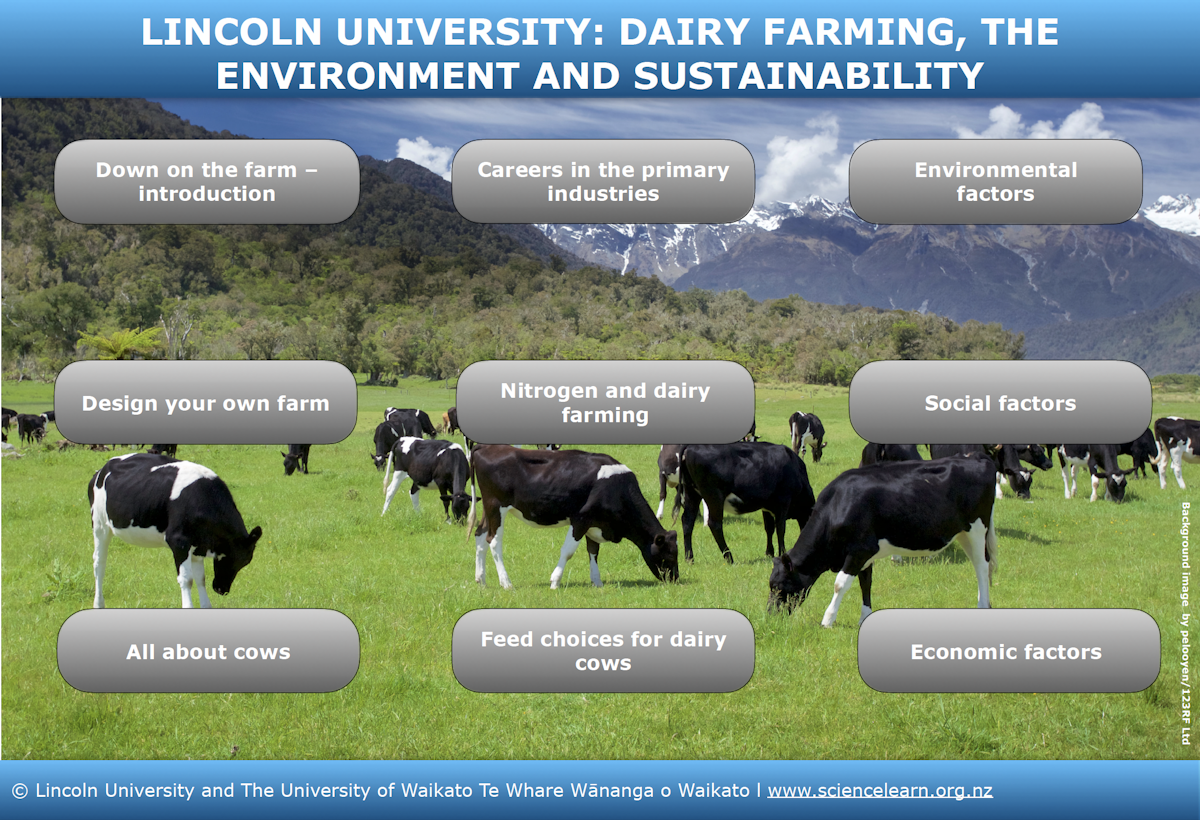 Lincoln University: Dairy farming, the environment and sustainability