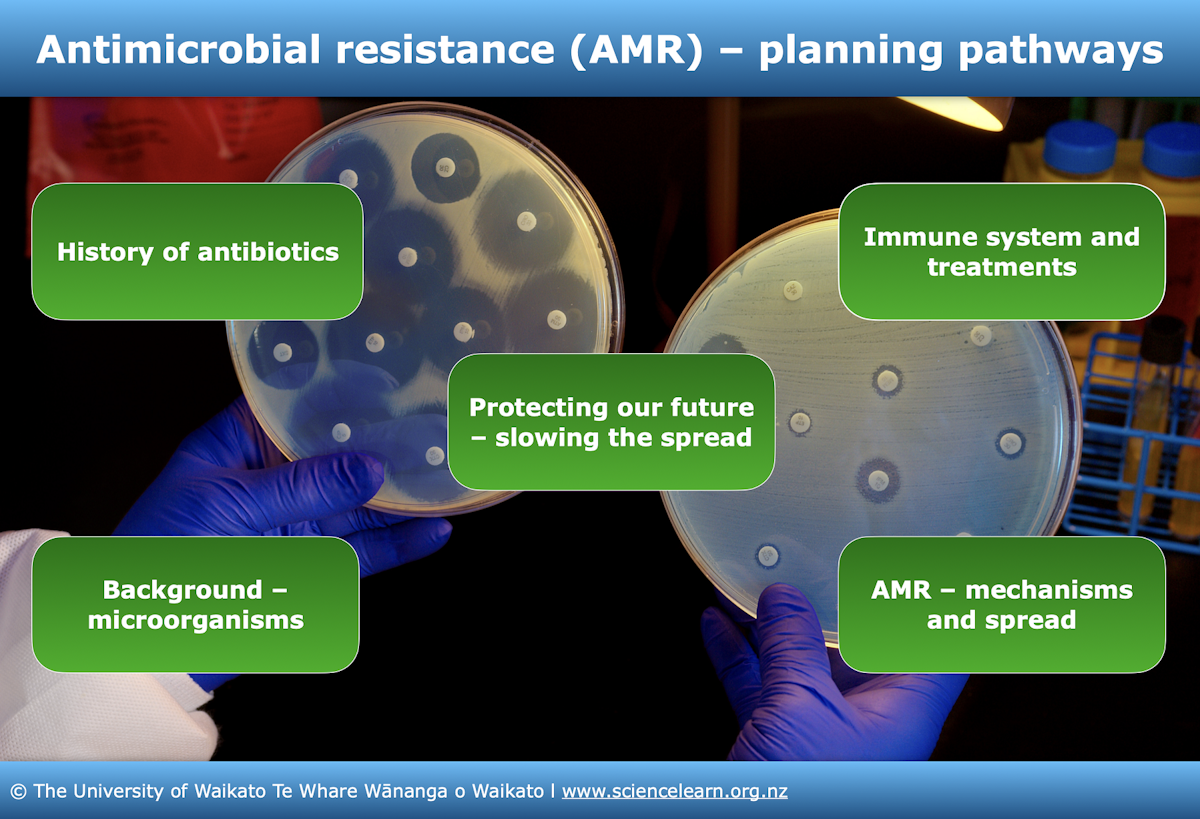 Antimicrobial resistance – planning pathways