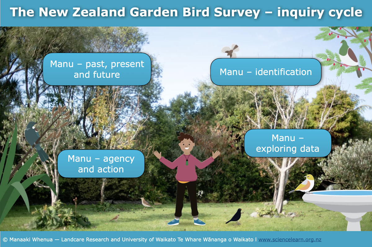 The New Zealand Garden Bird Survey – inquiry cycle