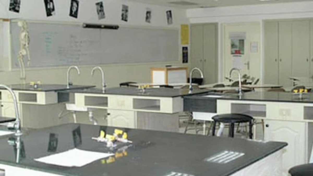 How the eye works — Science Learning Hub