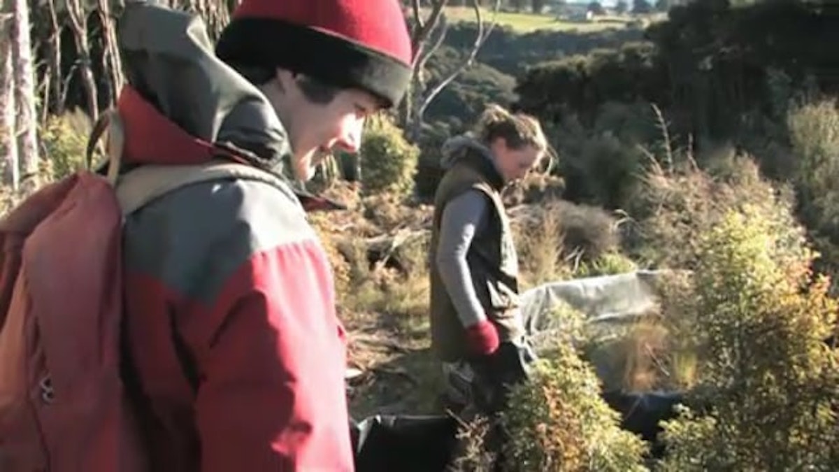 Captive management — Science Learning Hub