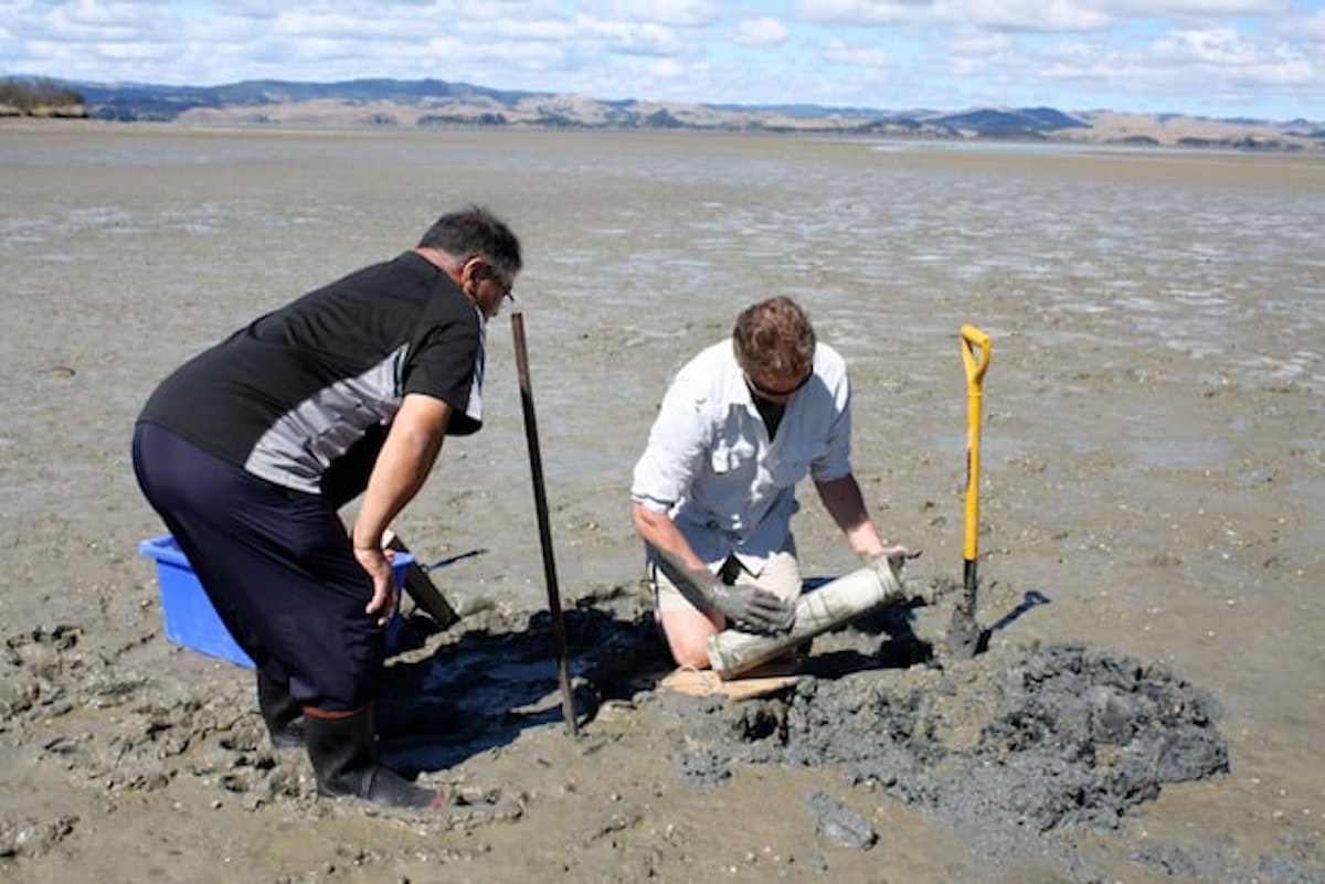 Taking a core sample — Science Learning Hub