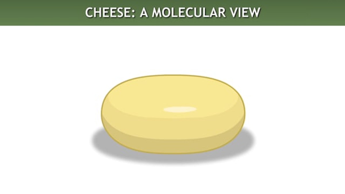 Cheese: a molecular view — Science Learning Hub
