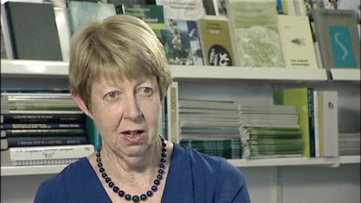 Scale insect life cycle — Science Learning Hub