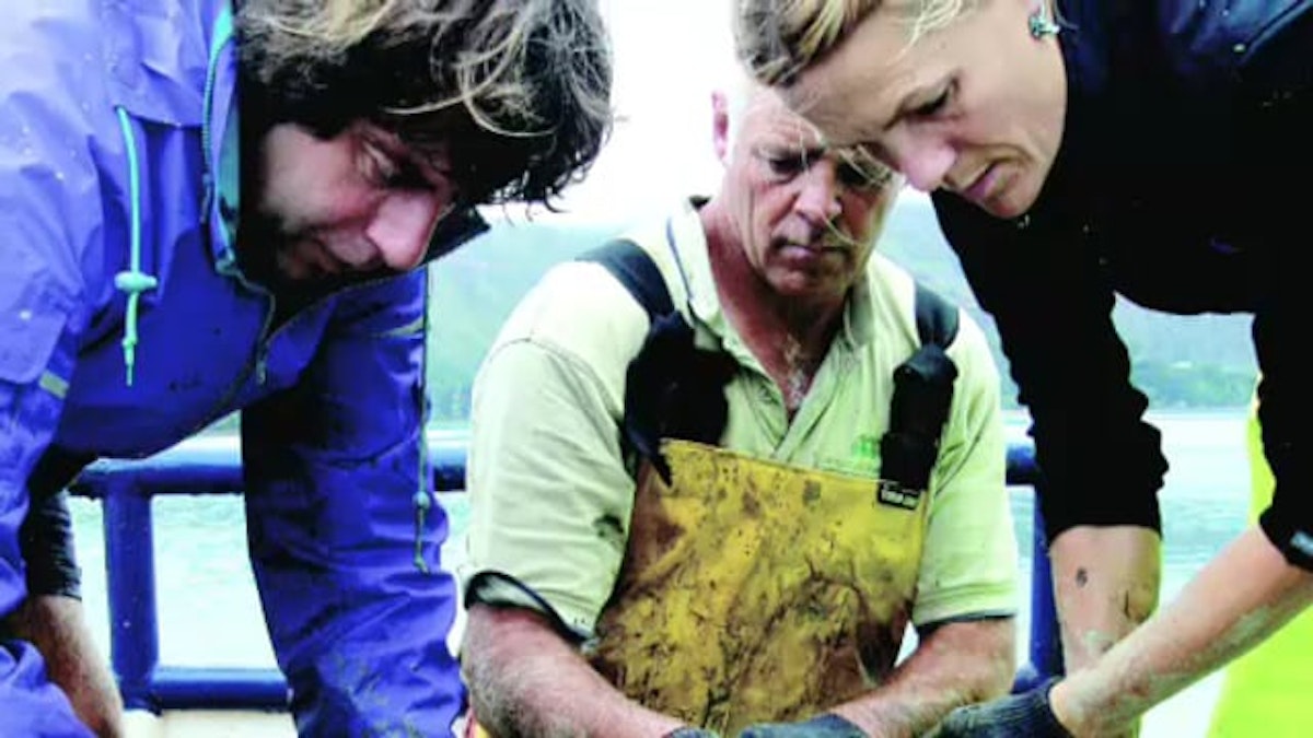 Monitoring shellfish safety — Science Learning Hub