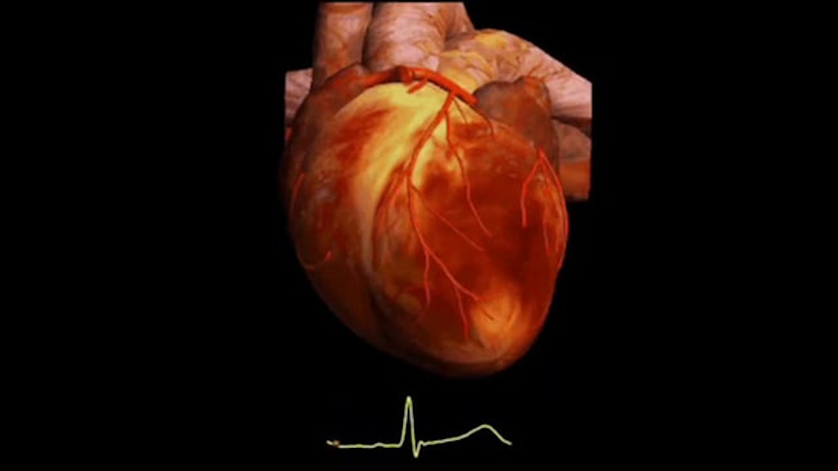 The beating heart — Science Learning Hub