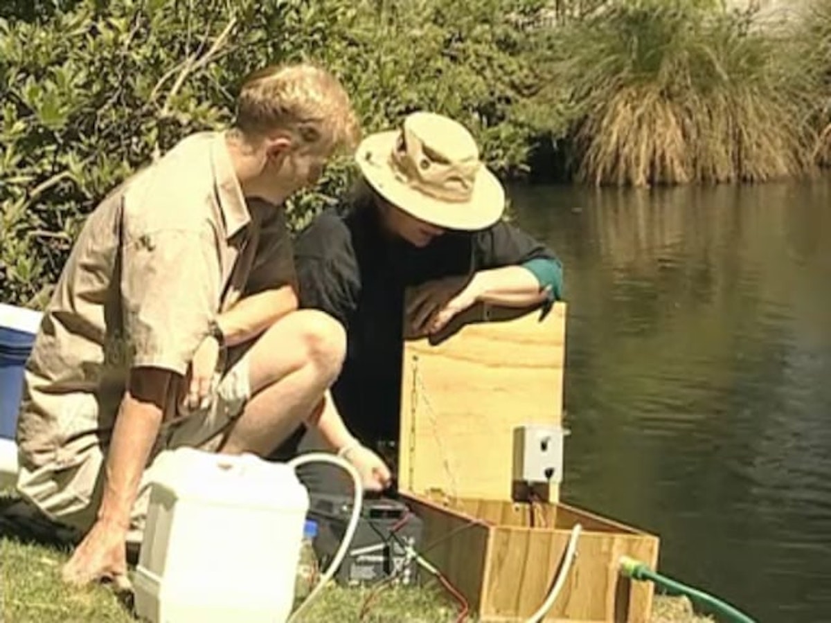 Detecting viruses in drinking water — Science Learning Hub