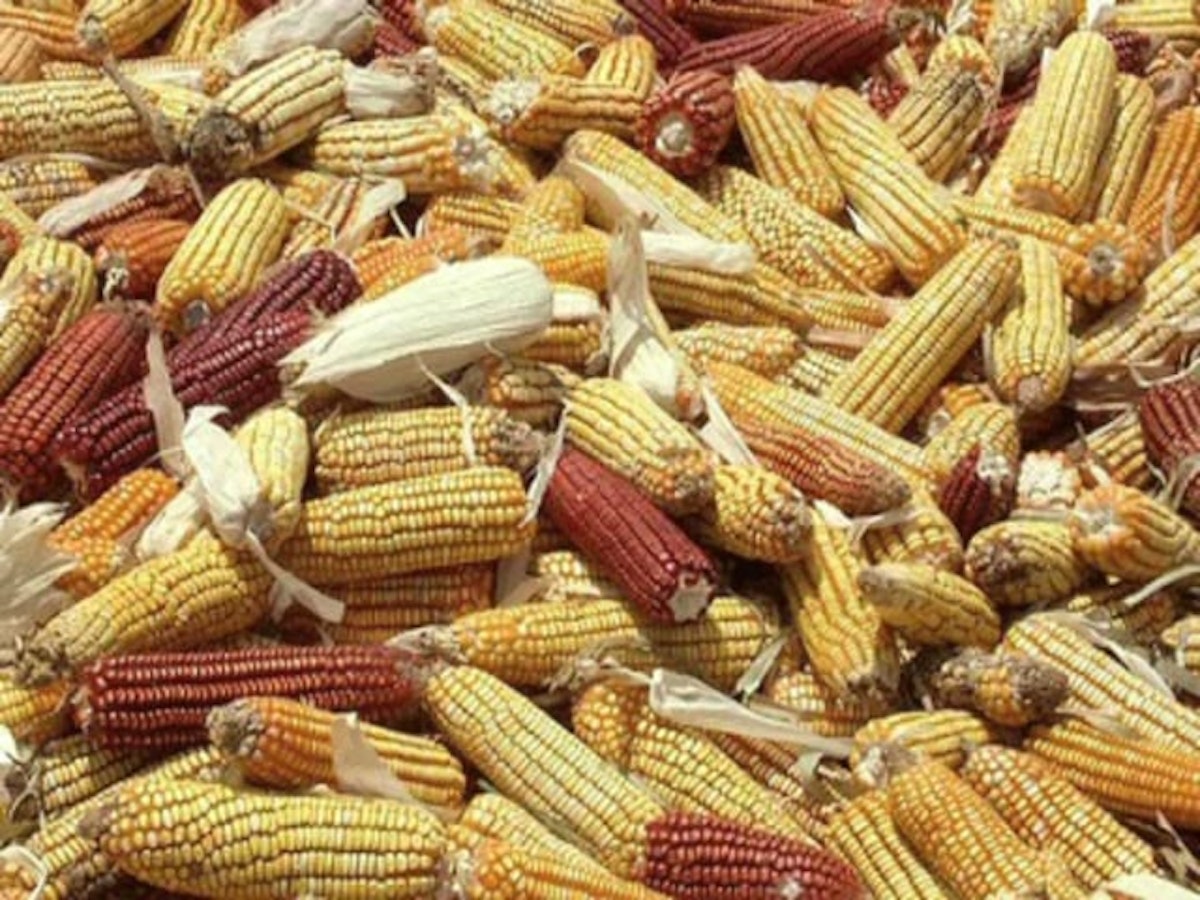 Clean and green fuels — Science Learning Hub