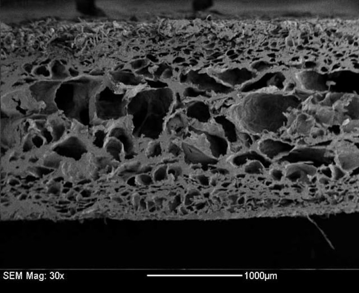 Honeycomb structure of potato plates — Science Learning Hub