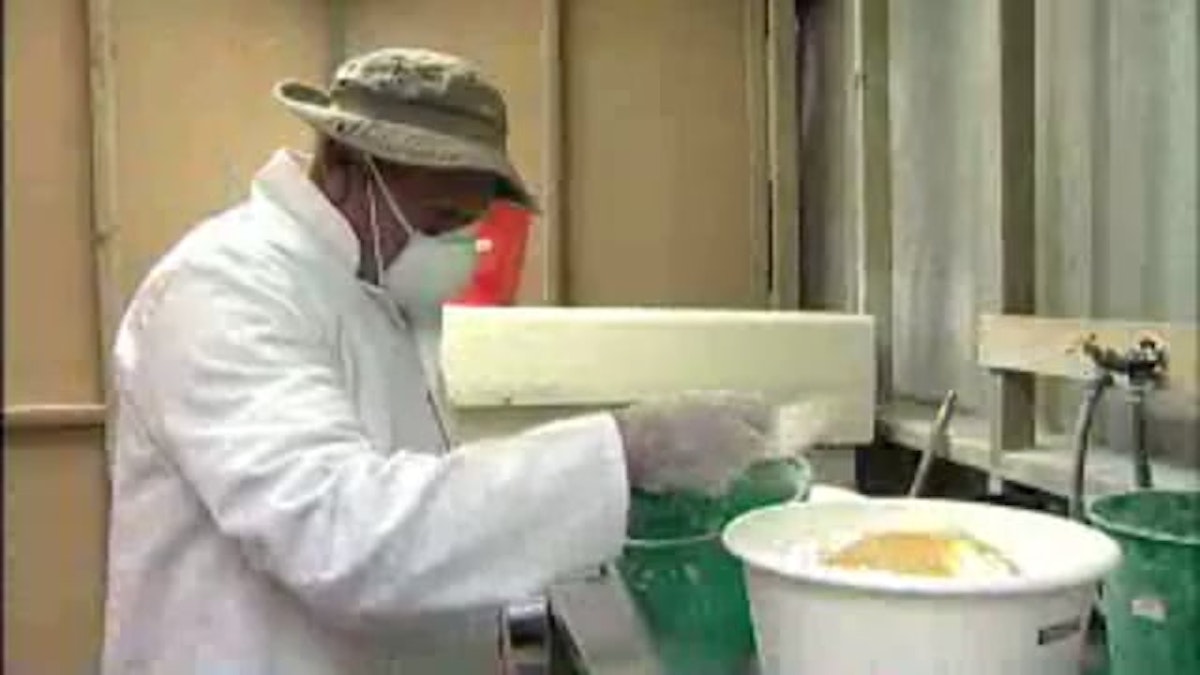 How are potato plates made? — Science Learning Hub