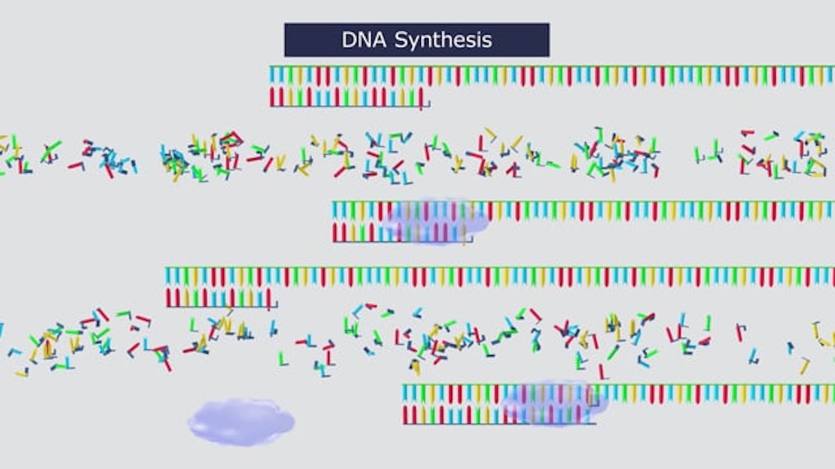 DNA sequencing — Science Learning Hub