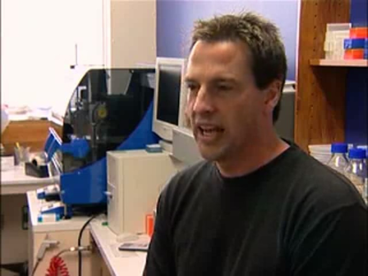 Microarrays: What are they and why are they useful?