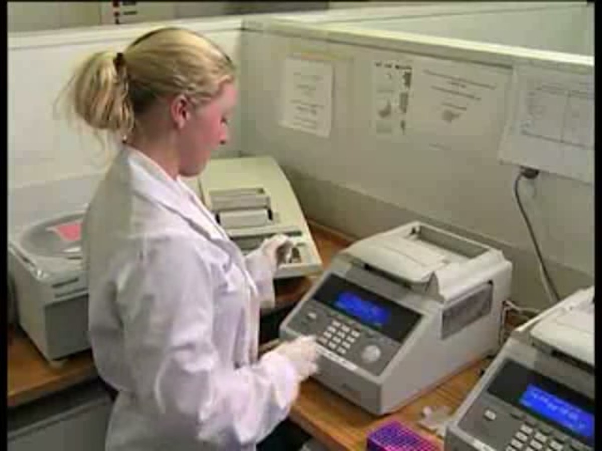 PCR: A scientist explains — Science Learning Hub