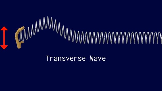 Longitudinal Wave Examples In Real Life