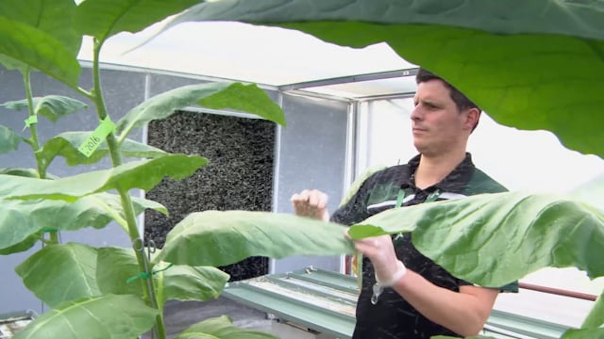 Bioforce — Science Learning Hub