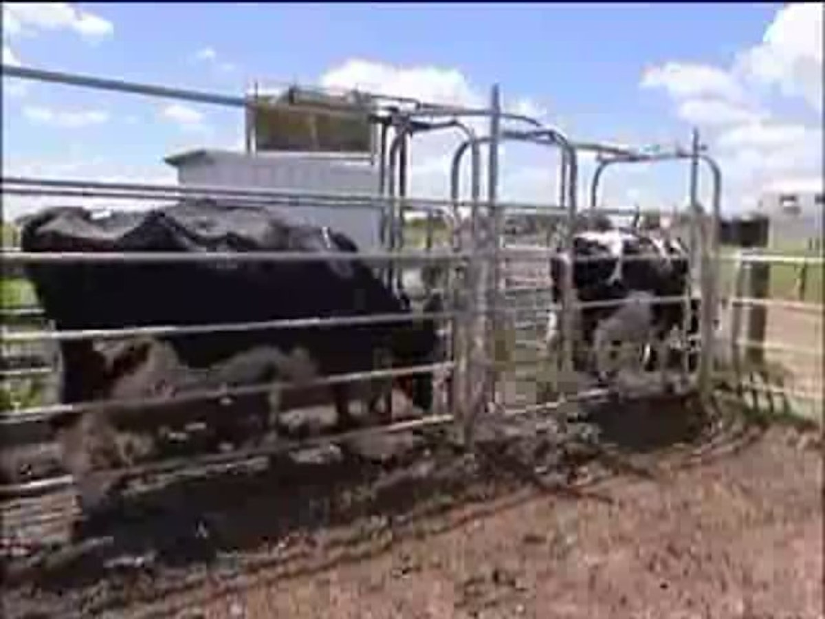 Using incentives to control cow movement on farms